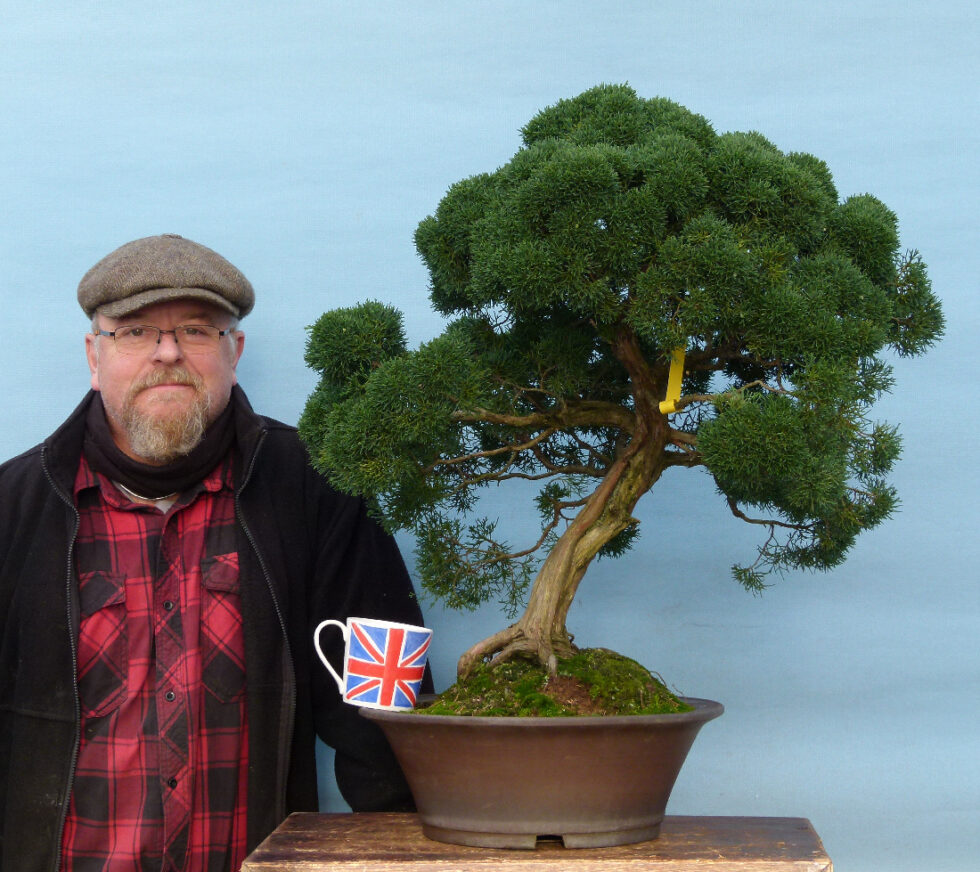 Busy Few Weeks at Kaizen Bonsai with new trees and products