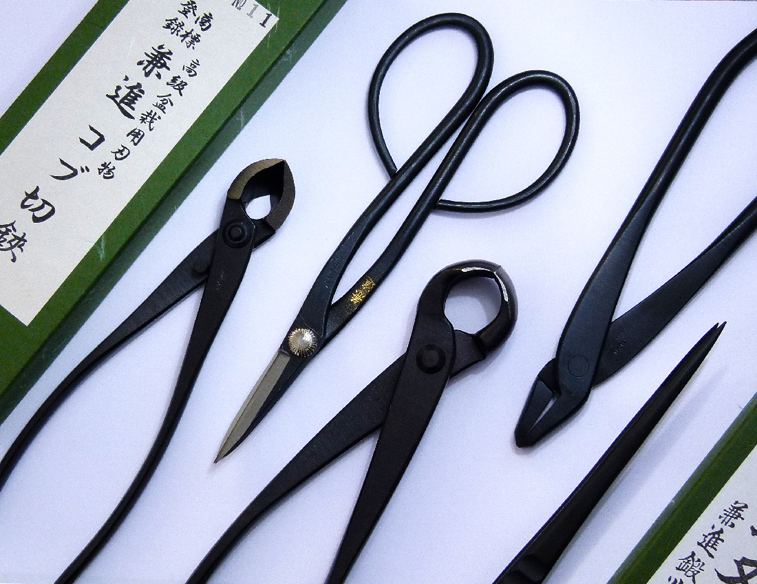 What a Bunch of Tools - Graham Potter | Kaizen Bonsai Blog