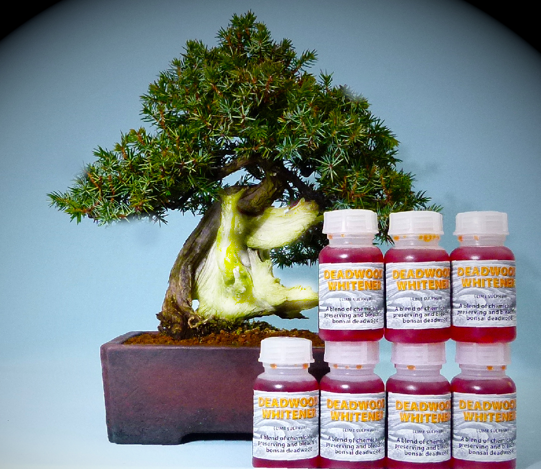 Lime Sulphur - A Miracle Solution - Graham Potter | Kaizen Bonsai Blog